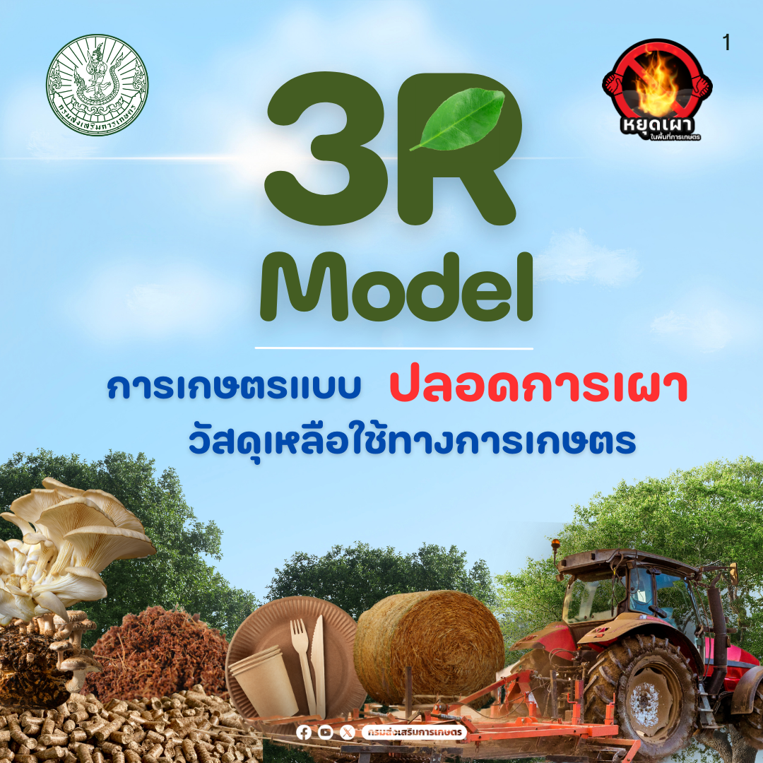 3R Model – ศูนย์ข่าวกรมส่งเสริมการเกษตร