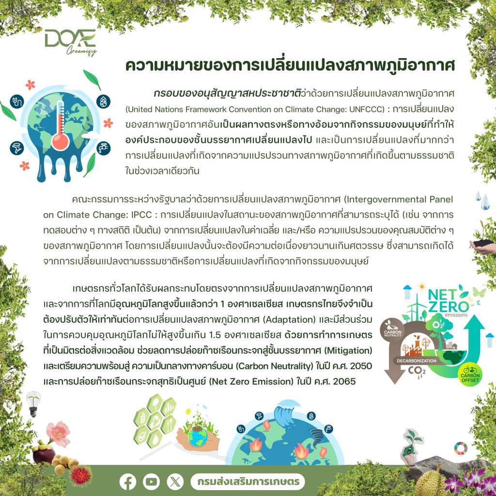 DOAE Greenify – ศูนย์ข่าวกรมส่งเสริมการเกษตร